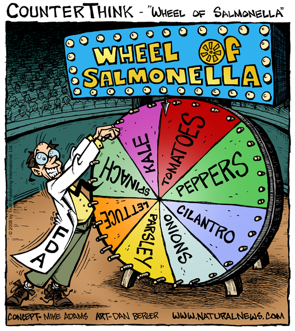 The FDA's Wheel of Salmonella (comic)